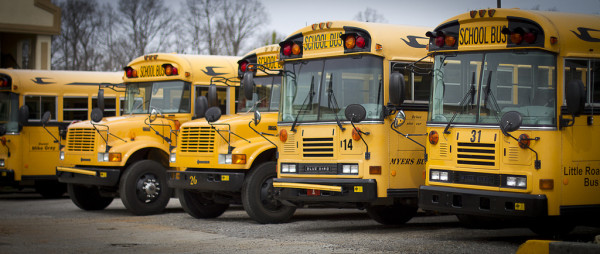 International Association of Venue Managers risk management